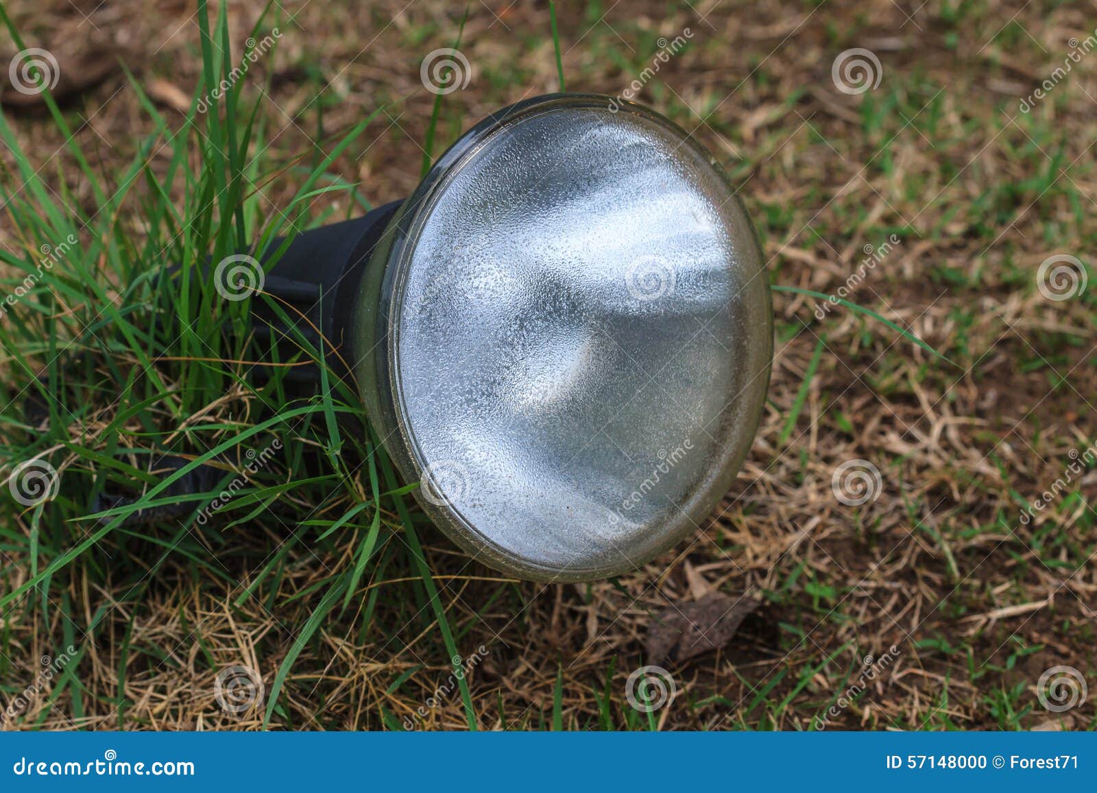 Spotlight on the garden stock photo. Image of design - 57148000