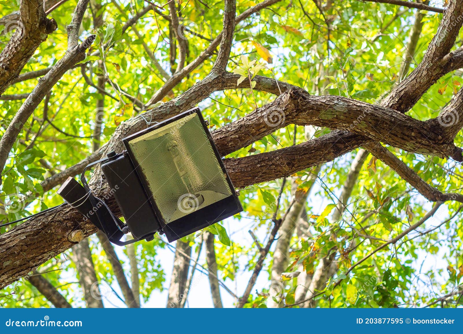 Spotlight Mounted on the Tree for Lighting. Top View Stock Image ...