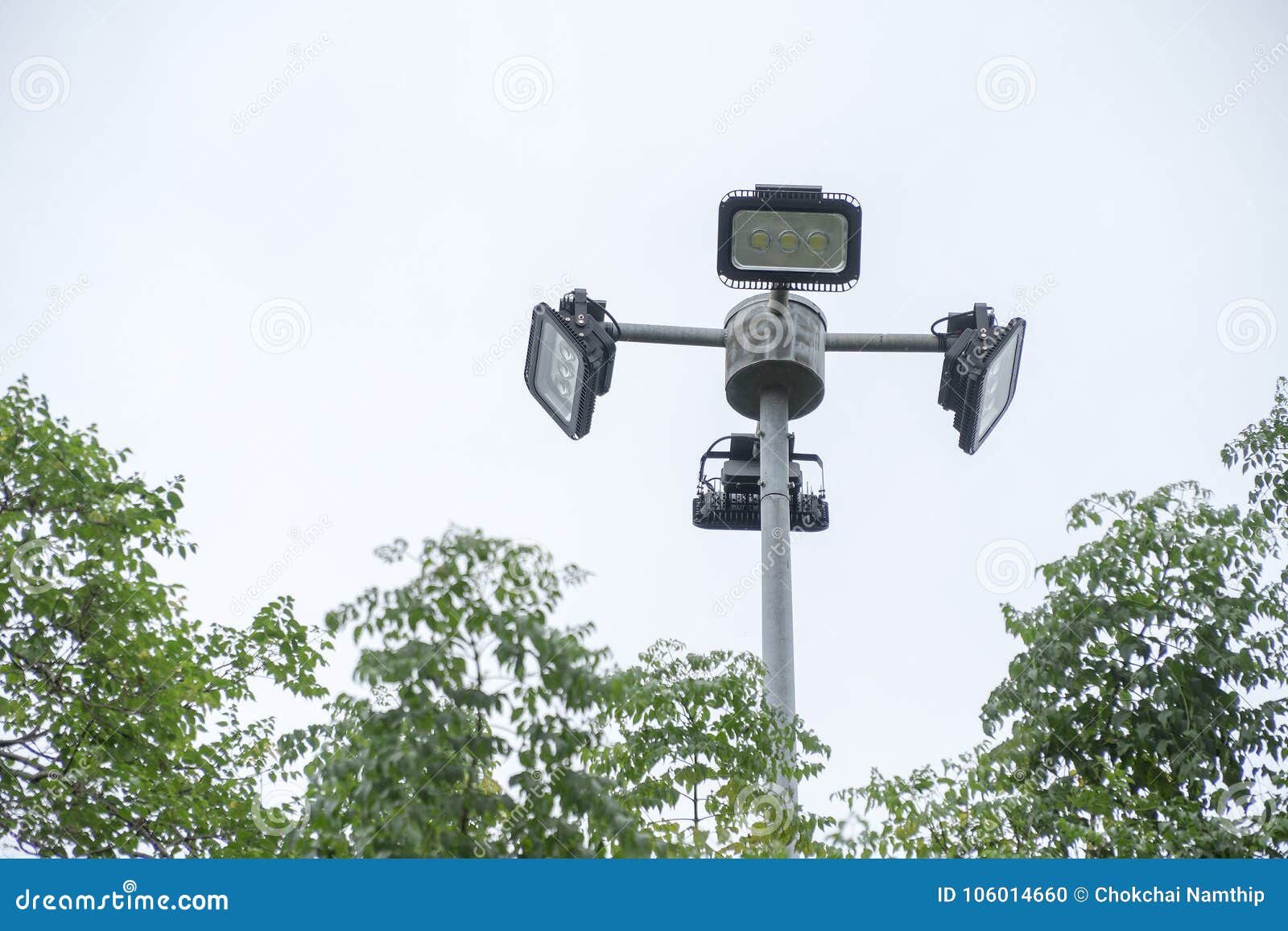 Spotlights in the Park with Trees. Stock Photo - Image of bright, power ...