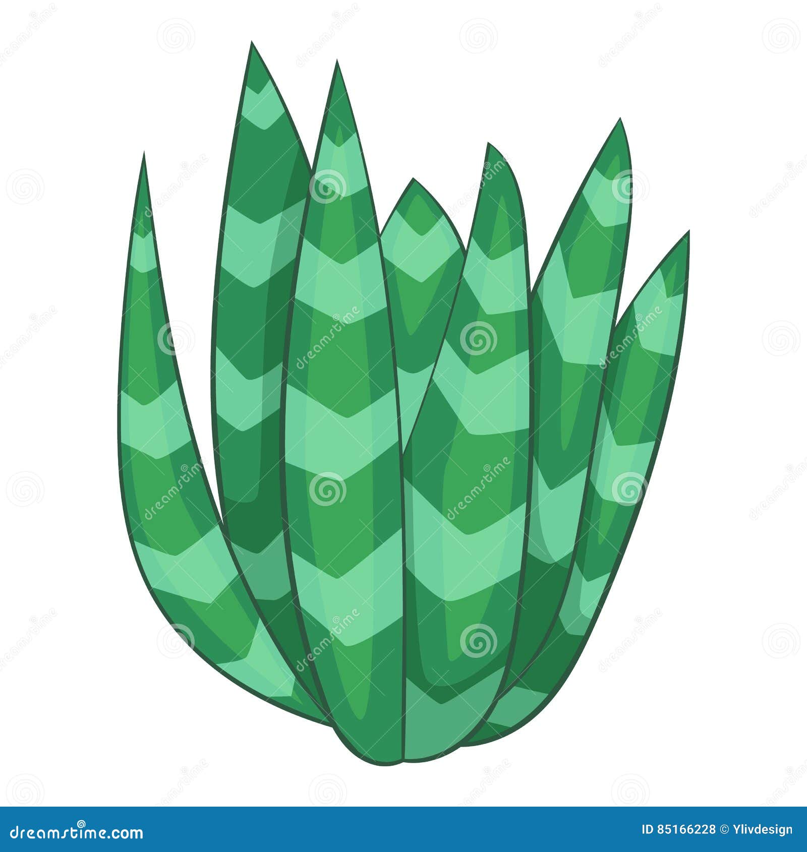 Spotted Agave Icon, Cartoon Style Stock Vector - Illustration of summer ...
