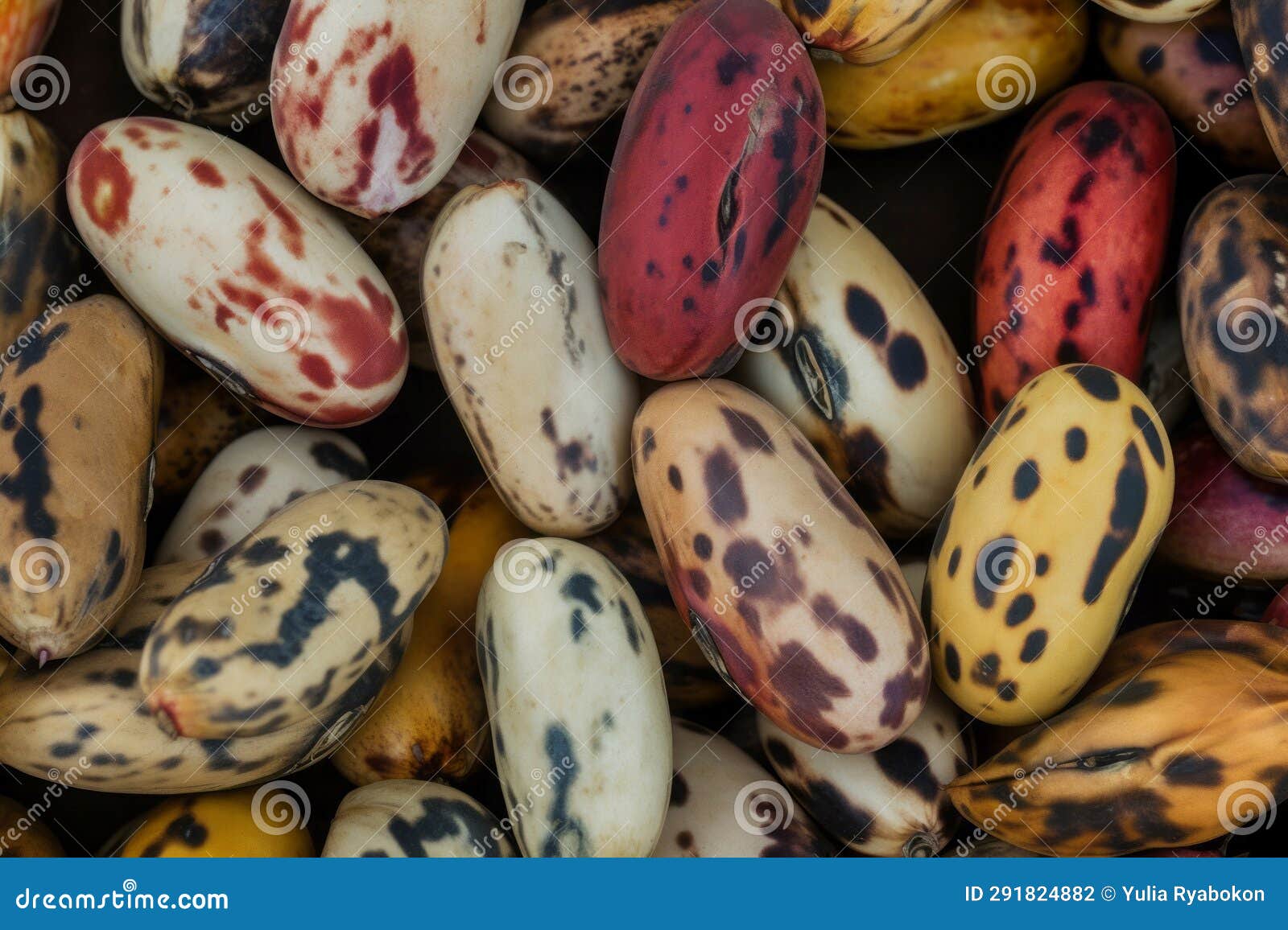 Spotted Beans Colorful. Generate Ai Stock Photo - Image of bean ...