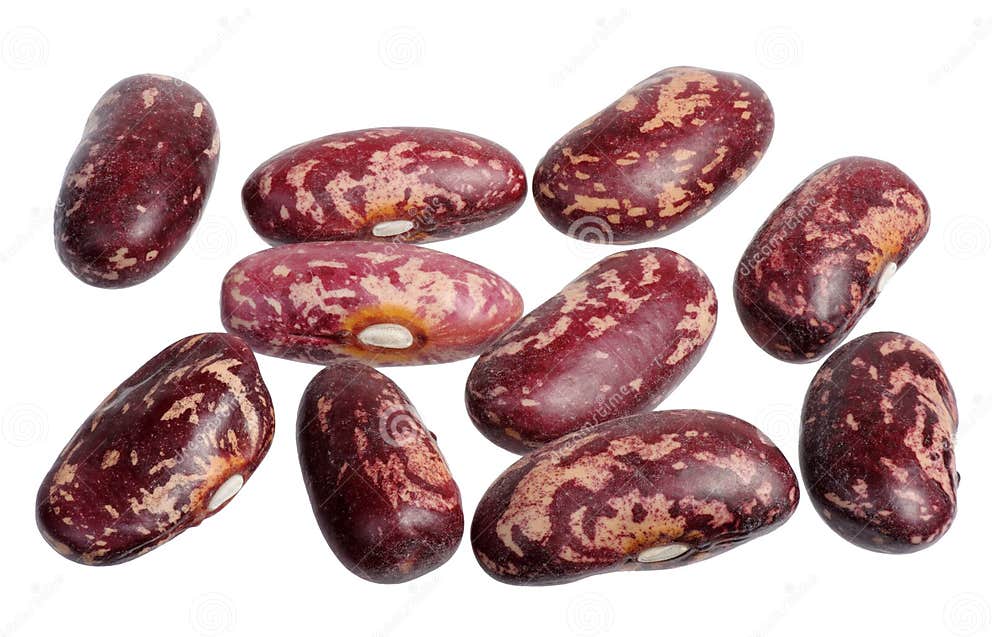Spotted beans, isolated stock photo. Image of crop, farm - 12077248