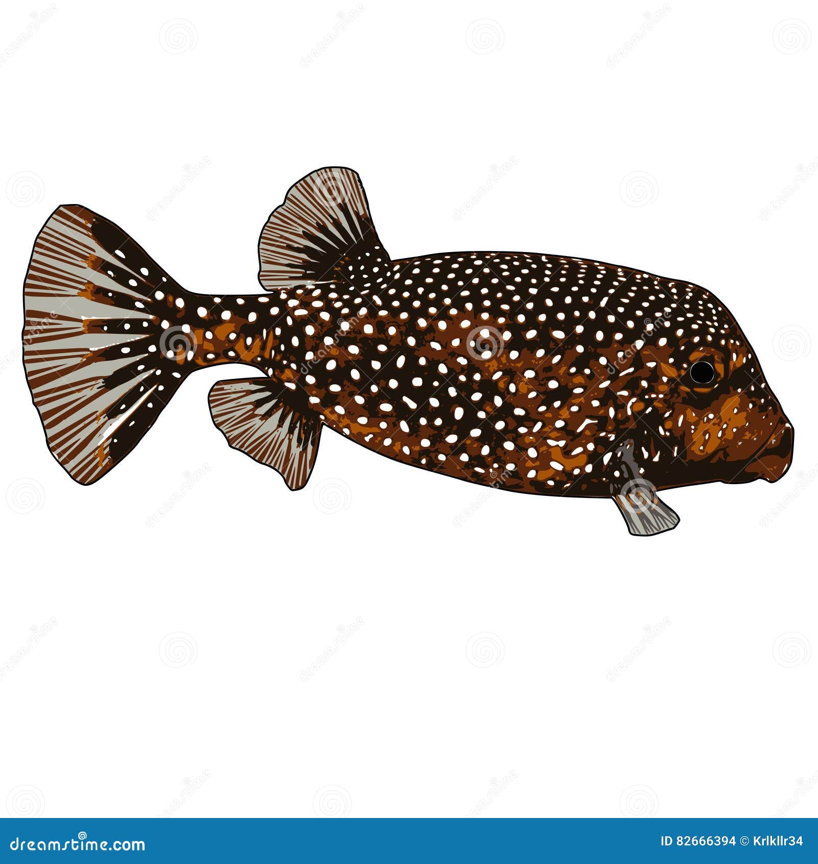 Boxfish Cartoons, Illustrations & Vector Stock Images - 250 Pictures to ...