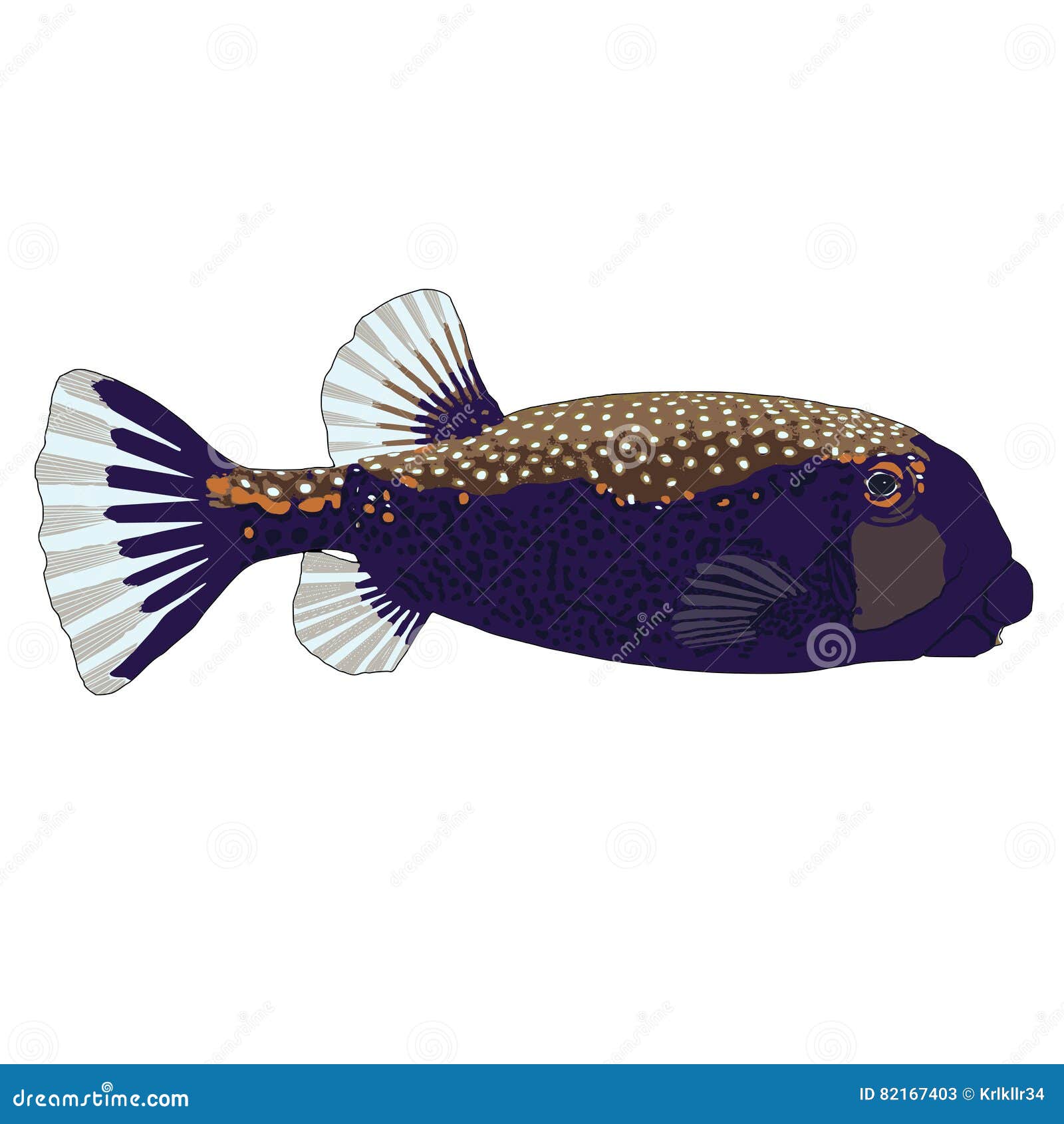 Spotted Boxfish Male Vector Illustration | CartoonDealer.com #82167403