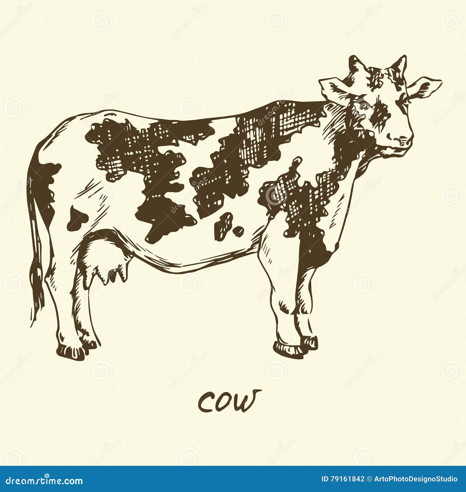 Spotted Cow stock vector. Illustration of isolated, hand - 79161842