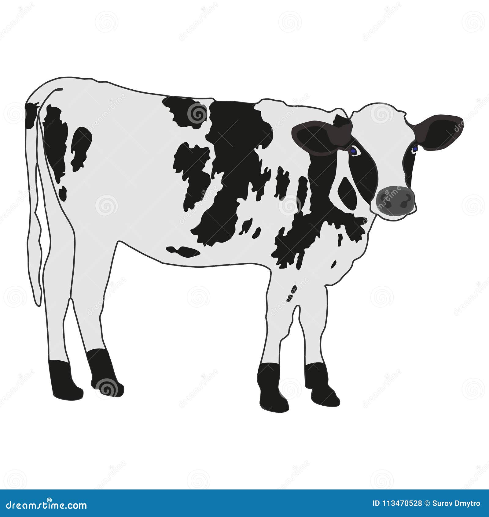 Spotted Cow Vector Illustration Stock Illustration - Illustration of ...