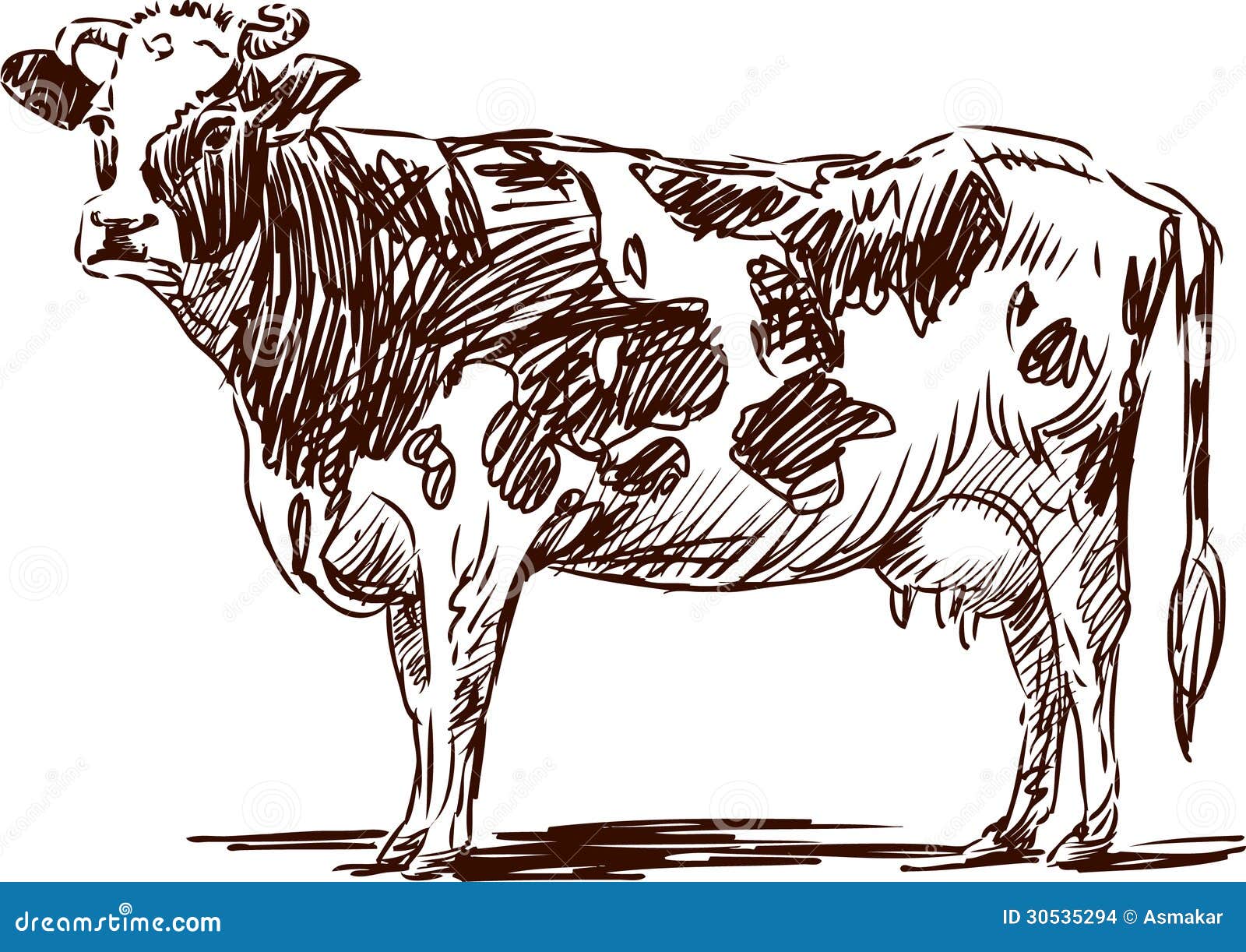 Spotted cow stock illustration. Illustration of mammal - 30535294