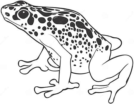Spotted frog stock vector. Illustration of clipart, fauna - 1410191
