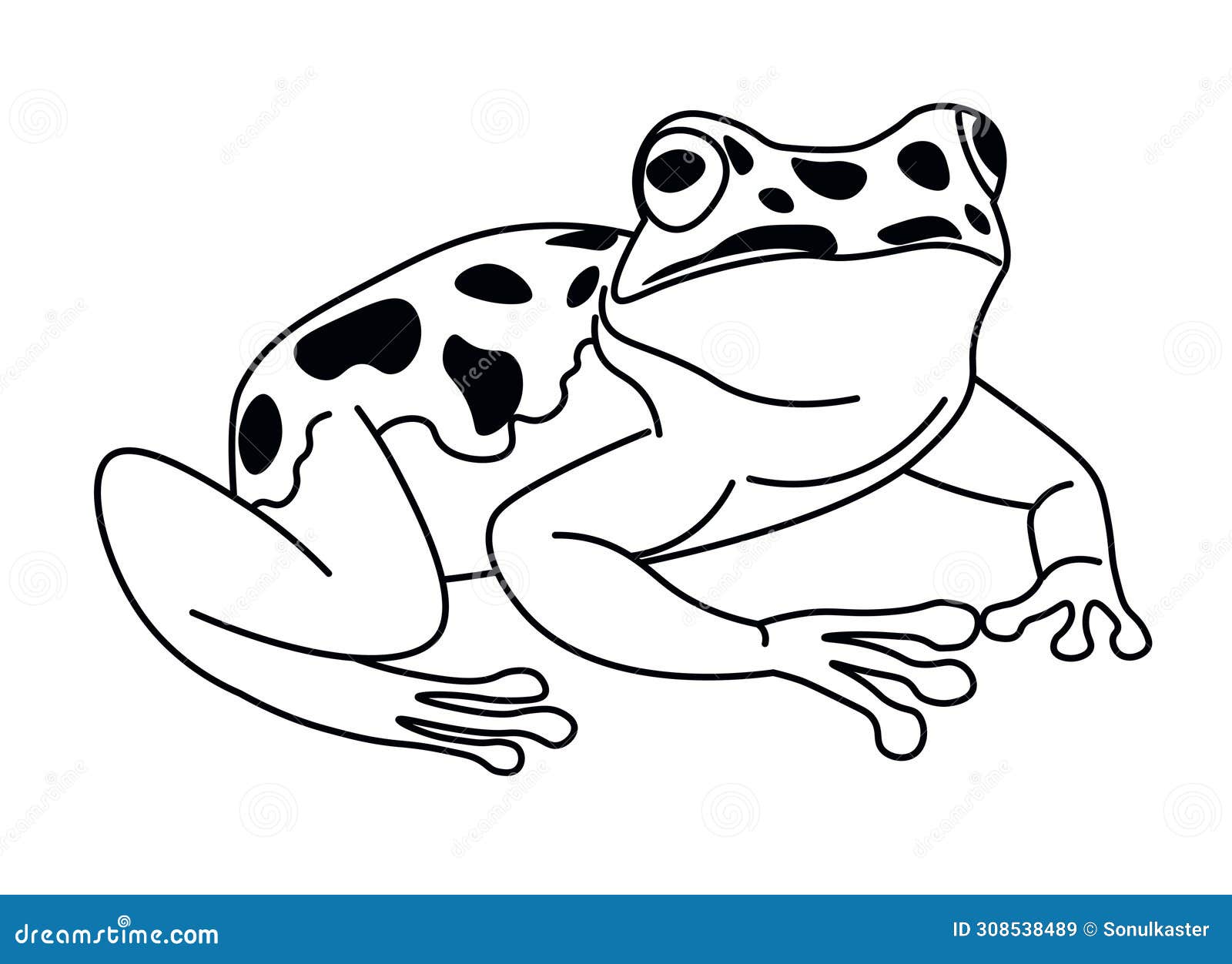 Spotted Frog in Profile View Stock Vector - Illustration of vector ...