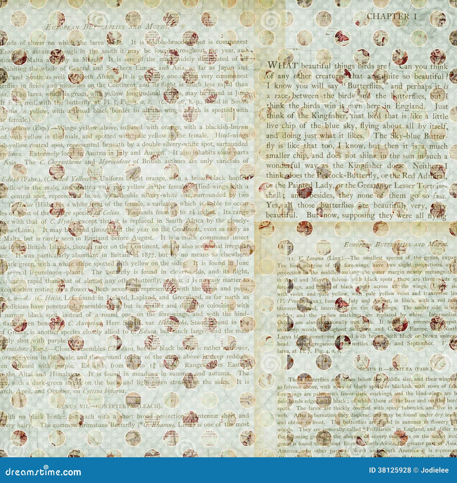 Spotted Grungy Pattern with Text Stock Photo - Image of overlay, paper ...