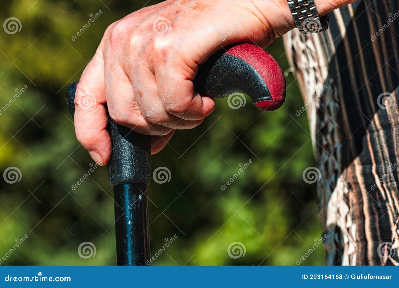 Spotted Hand Rests on Cane, Symbolizing Purpose Stock Photo - Image of ...