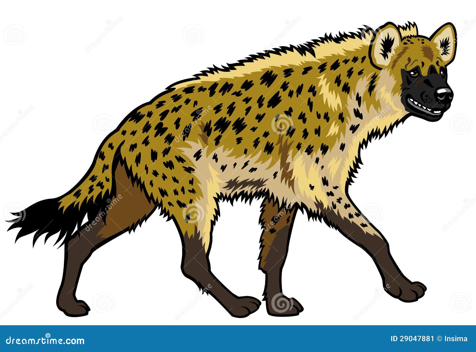 Spotted hyena stock vector. Illustration of view, carnivore - 29047881 Spotted hyena stock vector. Illustration of view, carnivore - 29047881