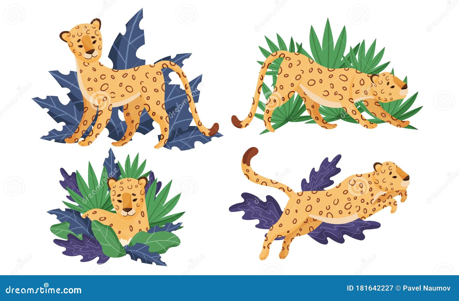 Spotted Leopard Or Jaguar With Yellow Skin Standing And Jumping In ...