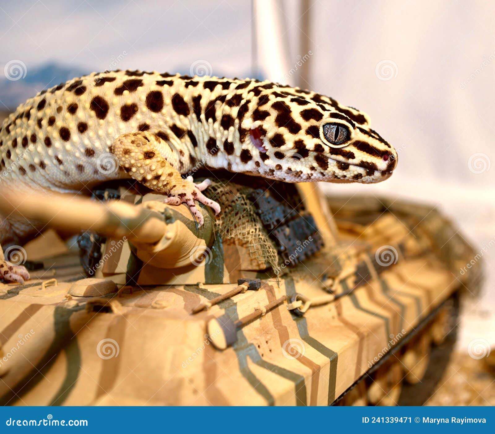 Spotted lizard. stock image. Image of amphibian, reptiles - 241339471