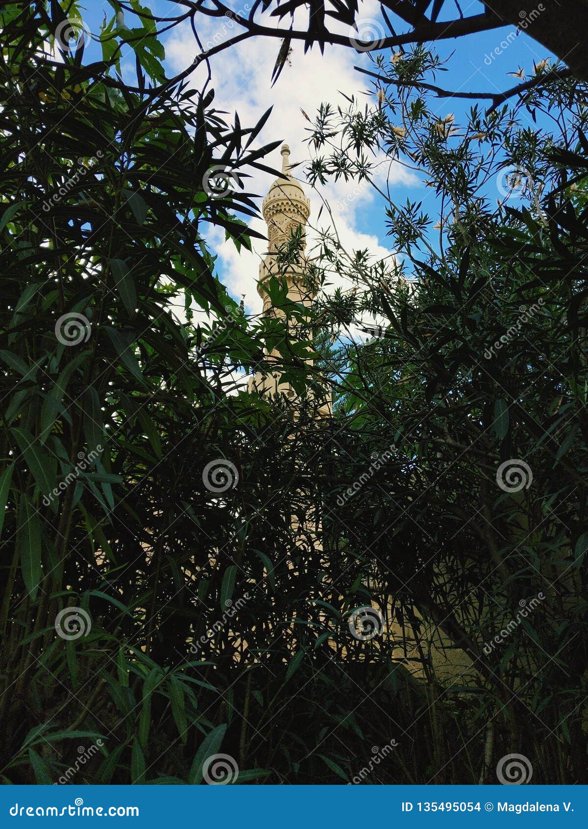 Hidden statue stock photo. Image of malta, hidden, green - 135495054