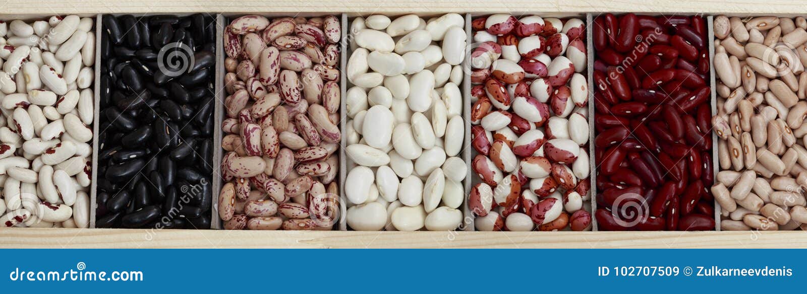 Spotted Multicolored Beans in the Cells Stock Image - Image of ...