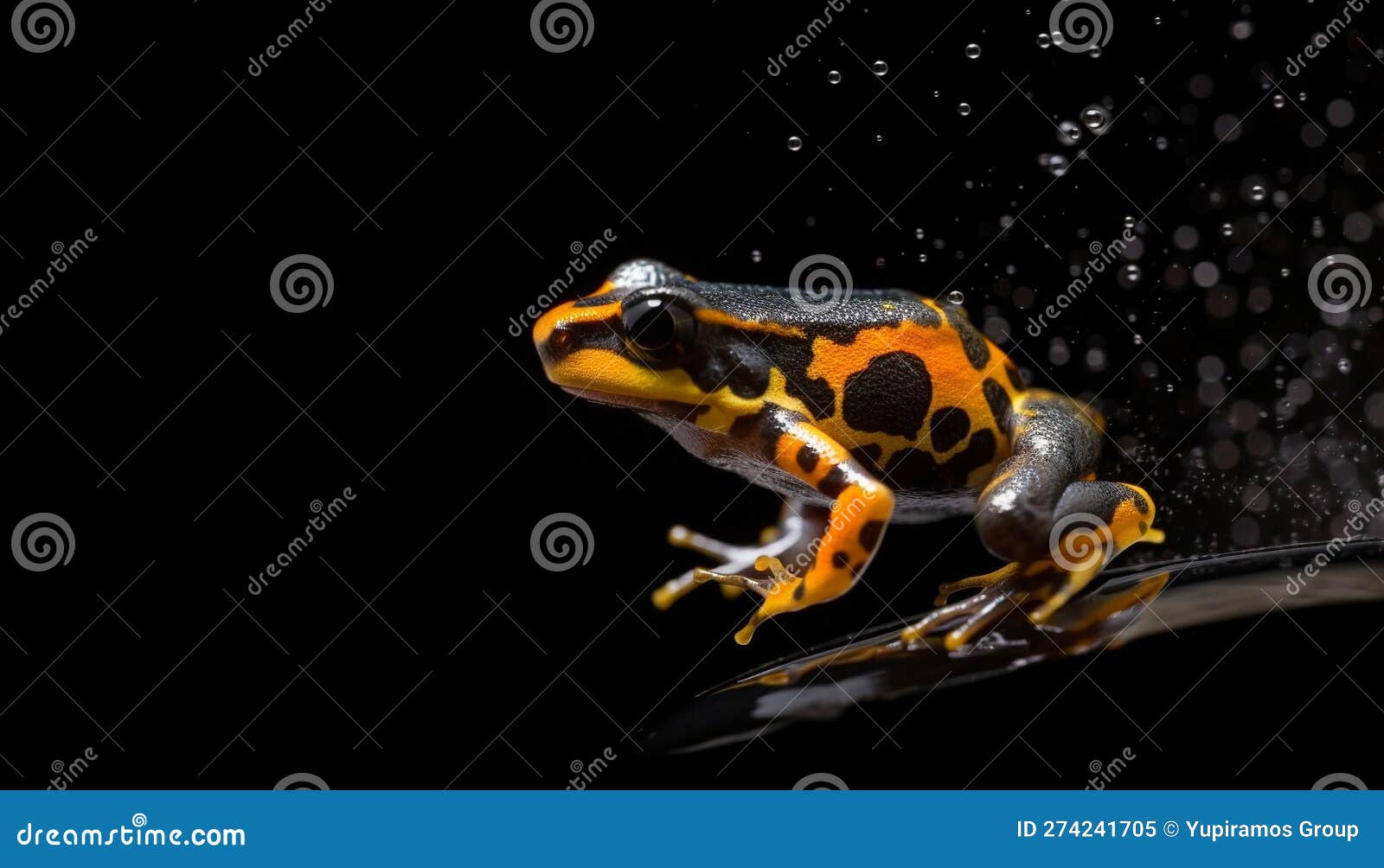 Red-spotted Poison Dart Frog (Dendrobates Tinctorius Stock Photo ...