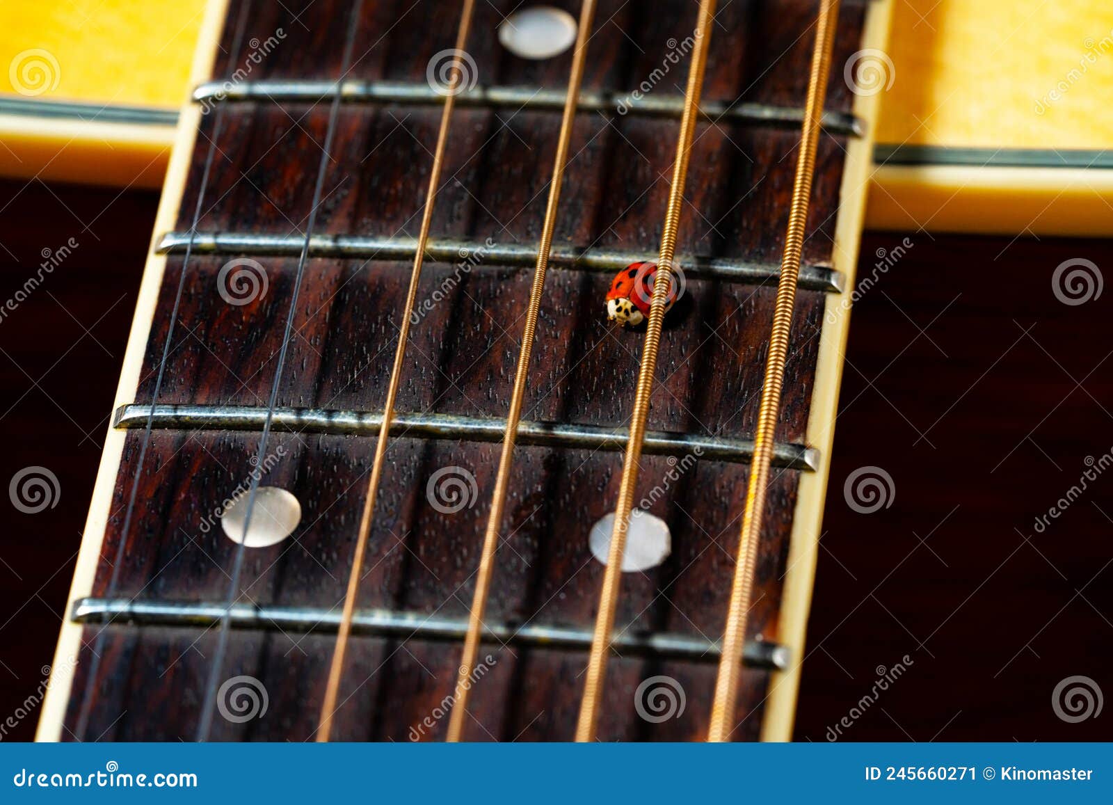 Spotted Red Ladybug Sits on Fretboard with the Strings of Classical ...