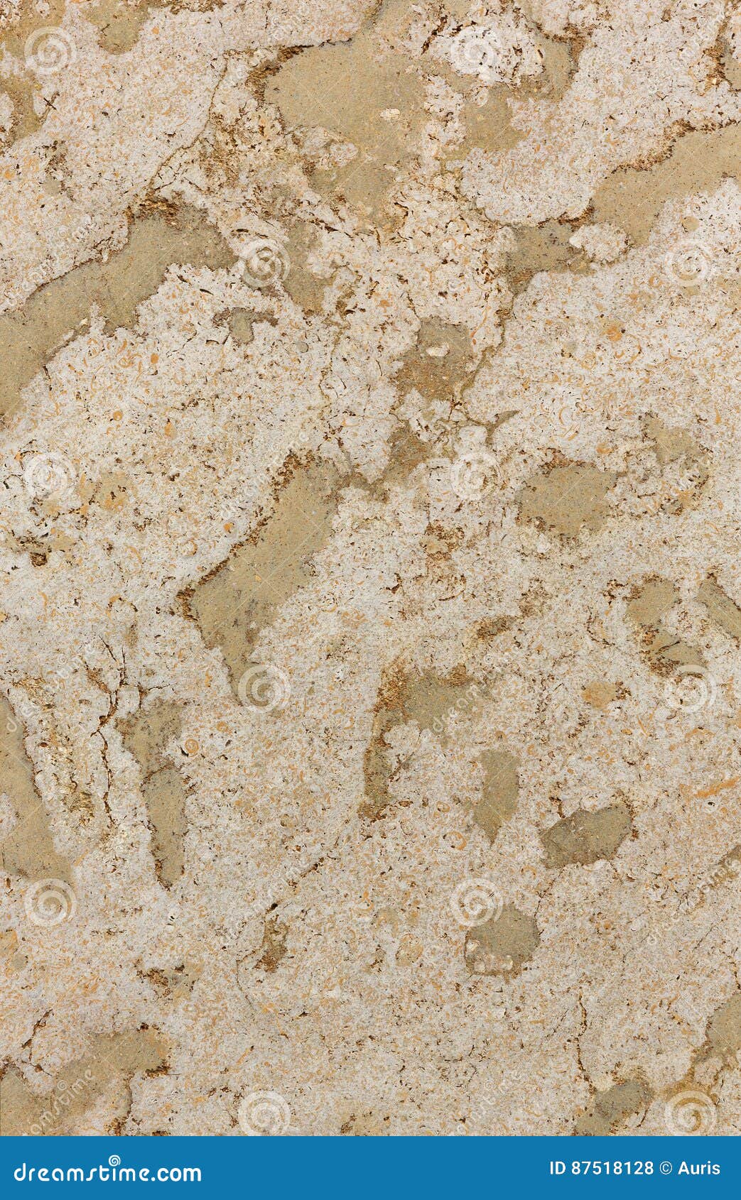 Spotted stone texture stock photo. Image of resollution - 87518128