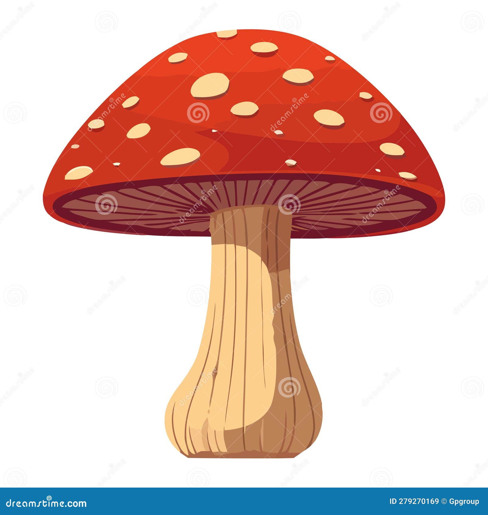 Spotted Toadstool Illustration Stock Vector - Illustration of white ...