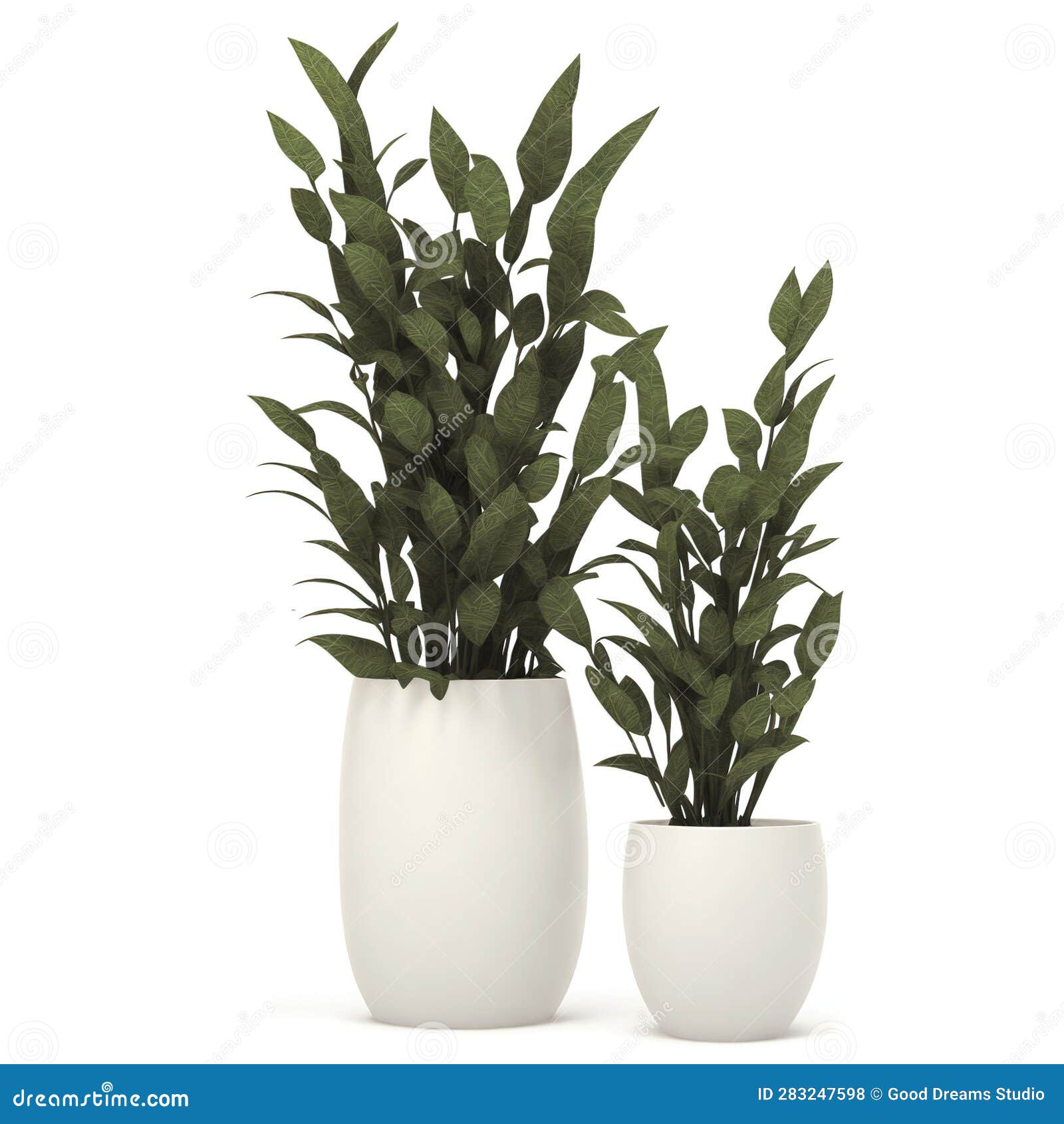 Red-spotted Tree Frog, Dendrobates Tinctorius, Isolated On Black ...