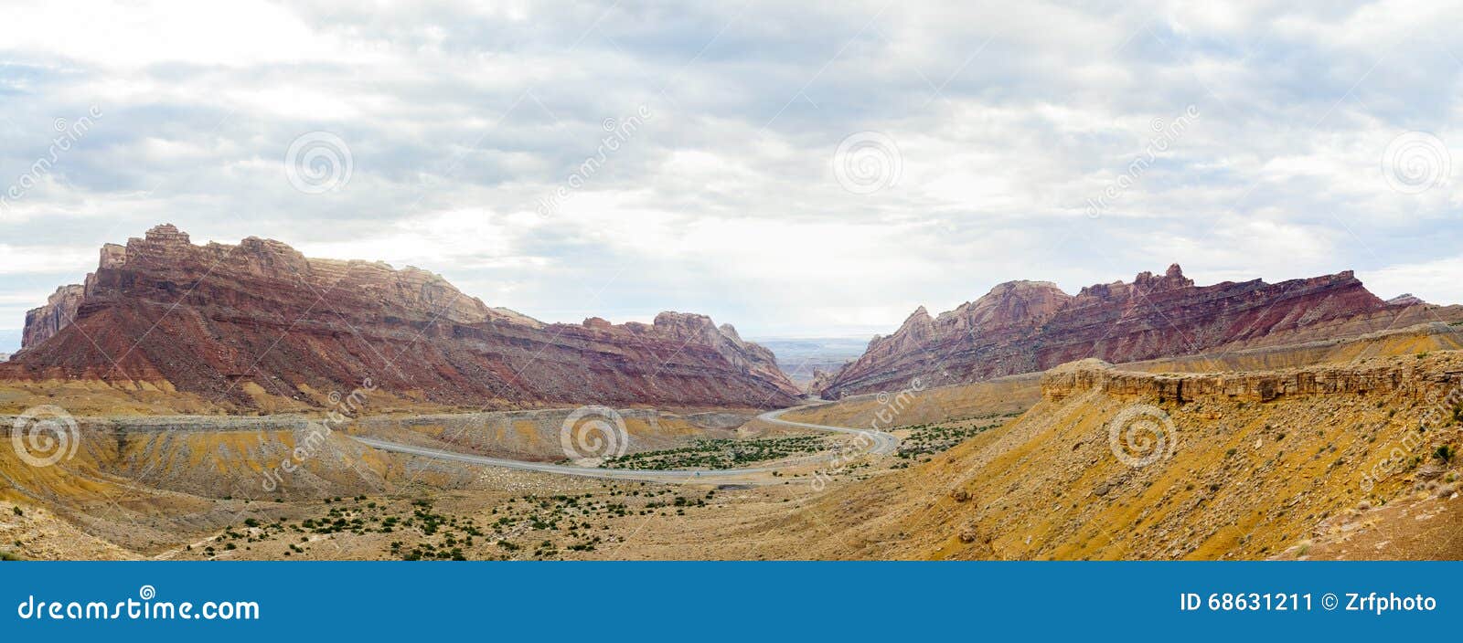 Spotted Wolf Spider Royalty-Free Stock Image | CartoonDealer.com #253432000