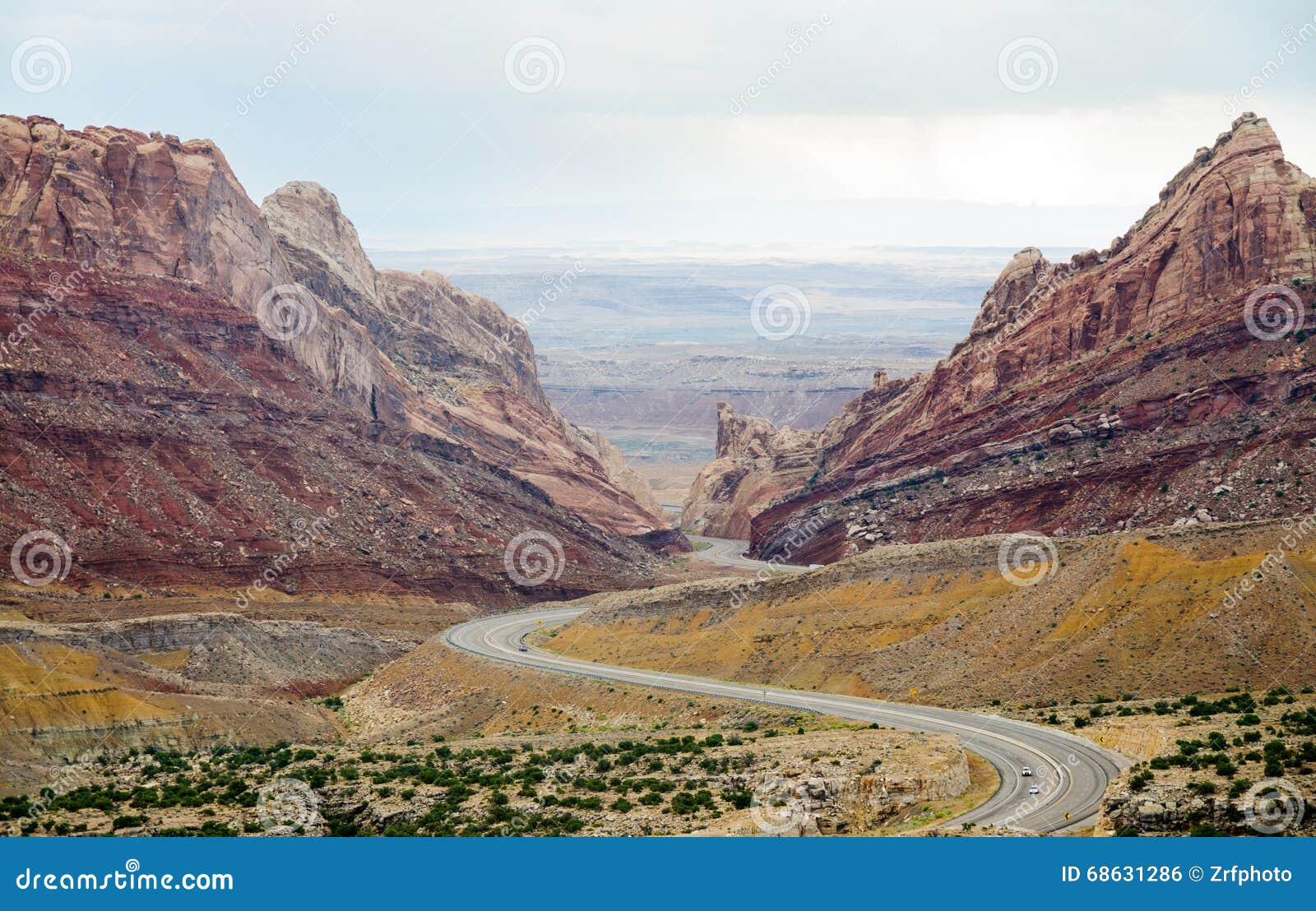 Spotted Wolf Spider, Wolf Spider On The Cocoon Stock Image ...