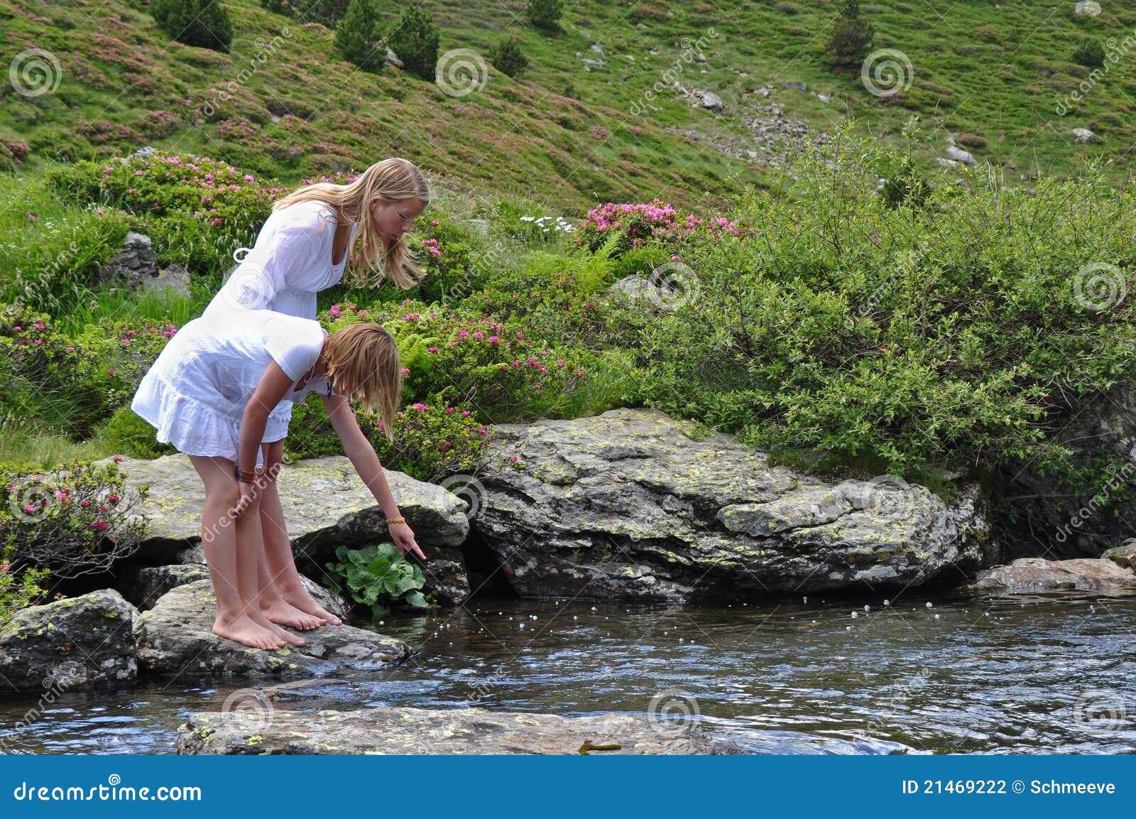 Spotting Something in the Stream Stock Photo - Image of white, hair ...