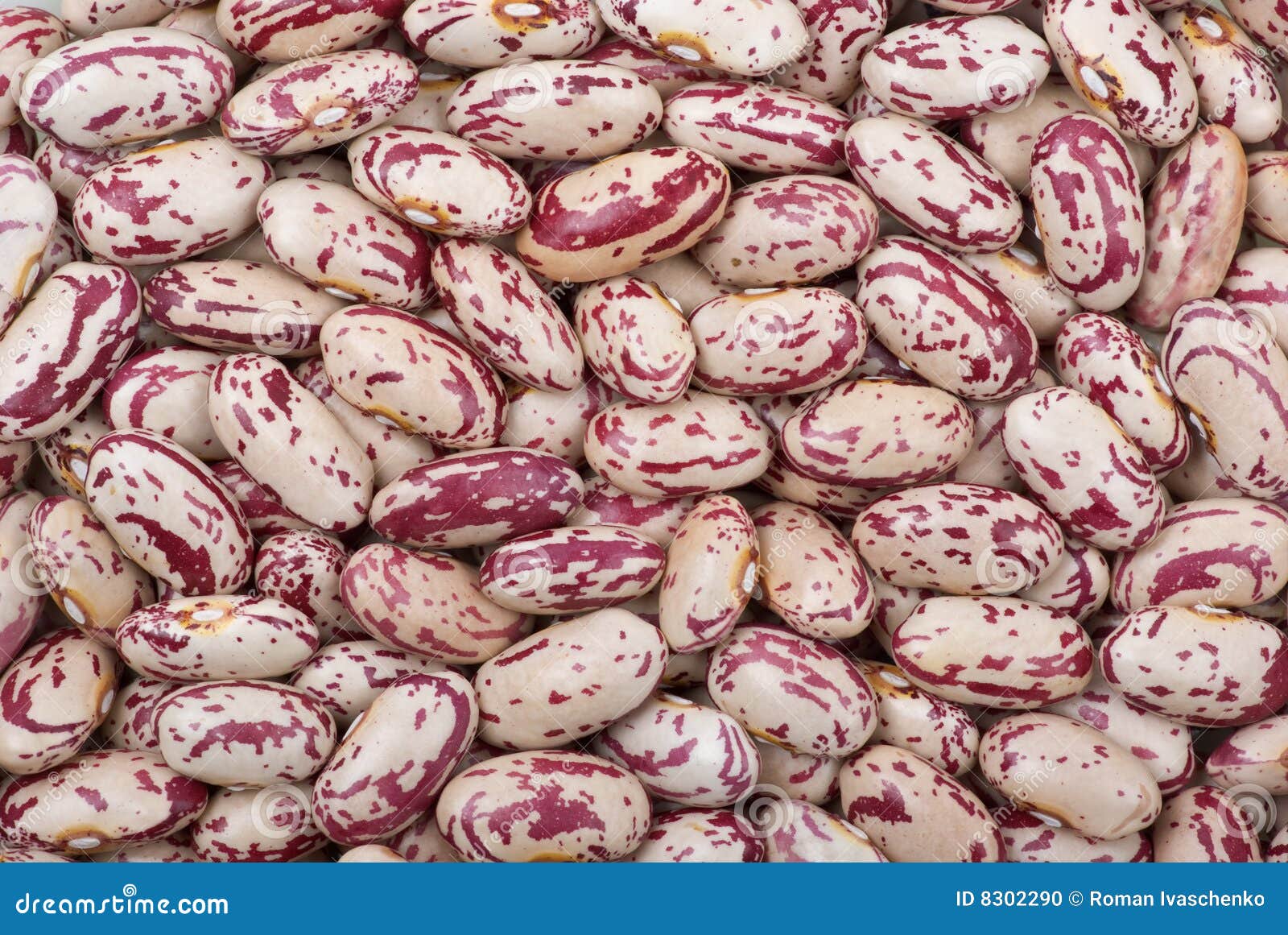 Spotty White-red Haricot Beans Stock Photo - Image of natural, kidney ...