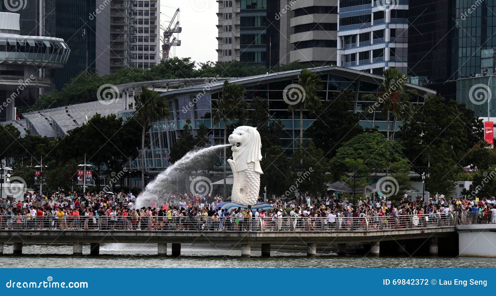 Spouting fish editorial photography. Image of island - 69842372