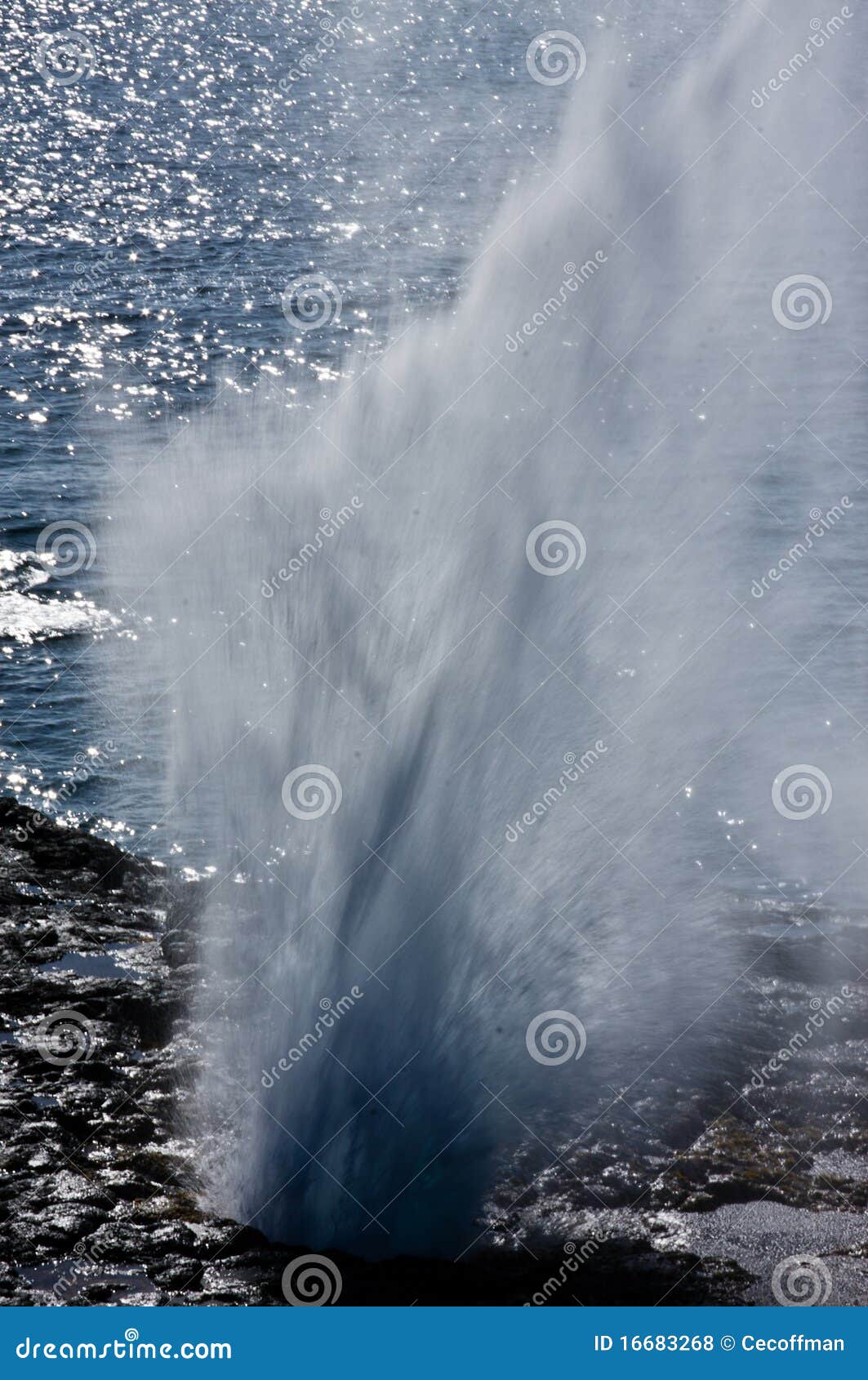The Spouting Horn stock photo. Image of kauai, danger - 16683268