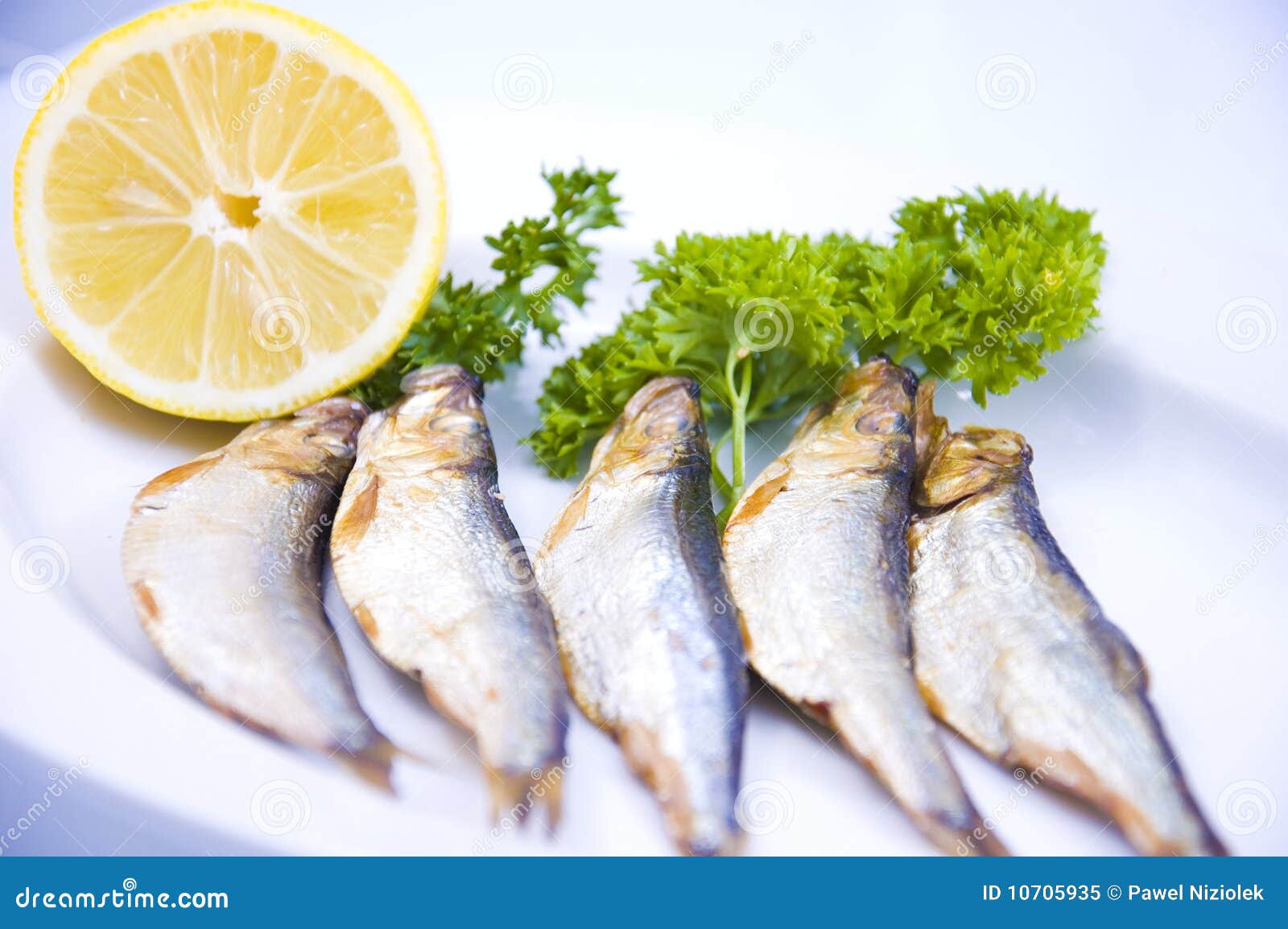 Sprat fish stock image. Image of omega, meat, macro, citrus - 10705935