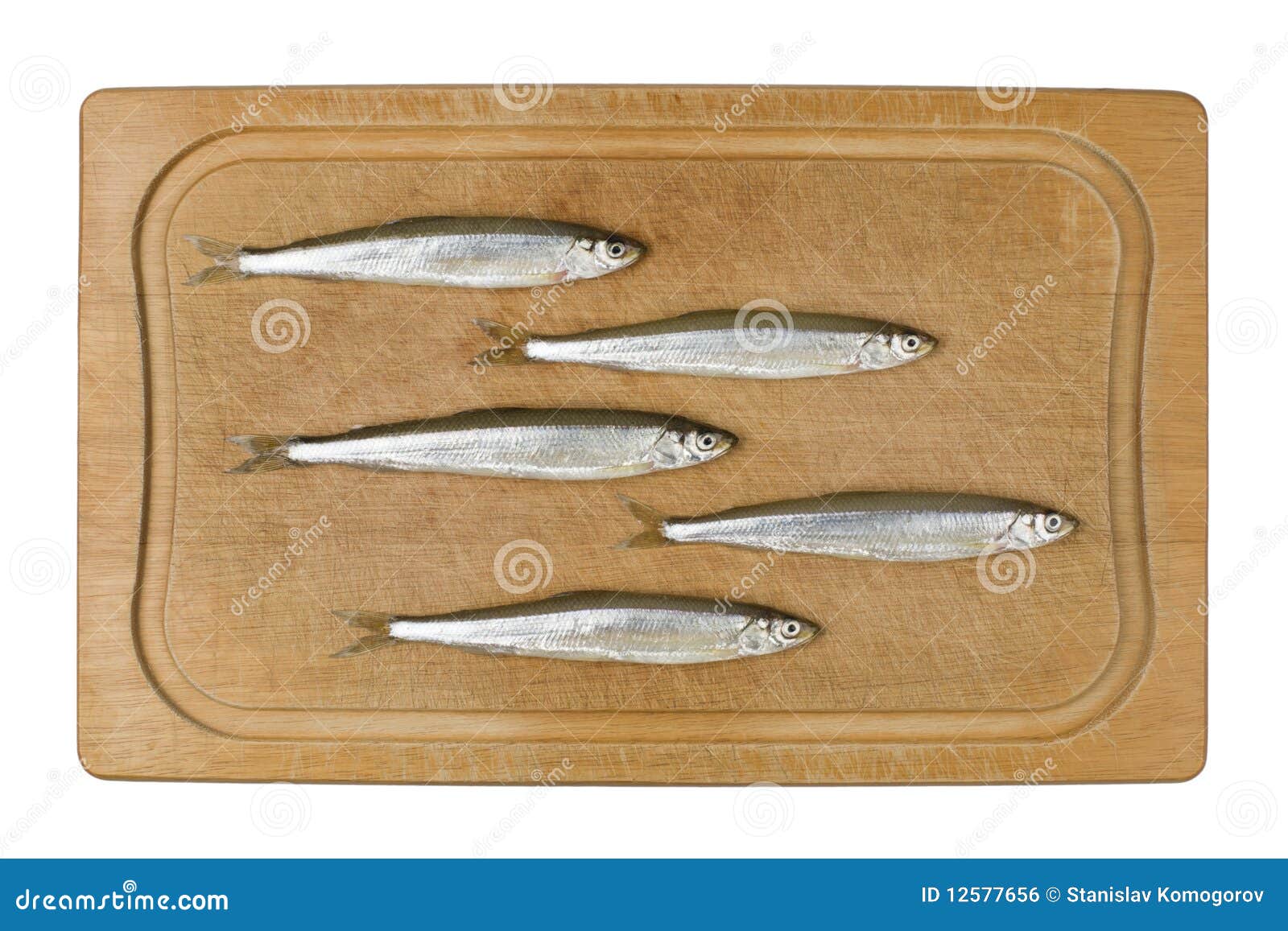 Sprat Fish stock photo. Image of food, fish, catch, industry - 12577656