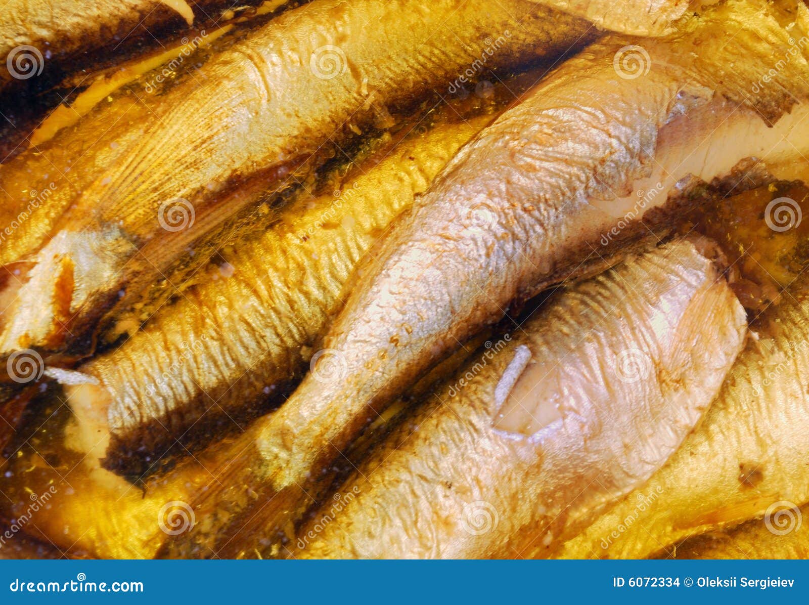 Sprat fish canned stock photo. Image of feeding, metallic - 6072334