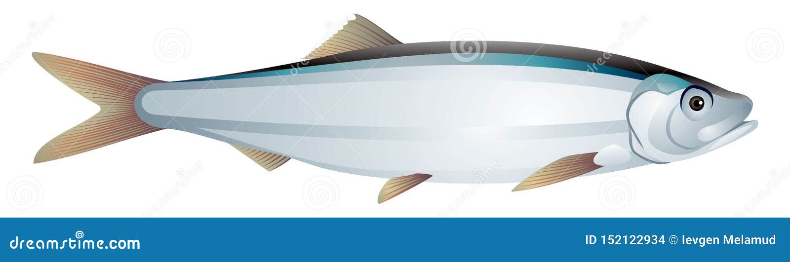 Sprat Cartoons, Illustrations & Vector Stock Images - 1194 Pictures to ...