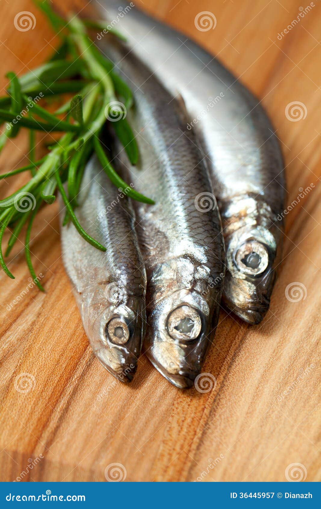 Sprat fish stock image. Image of table, coldblooded, tail - 36445957