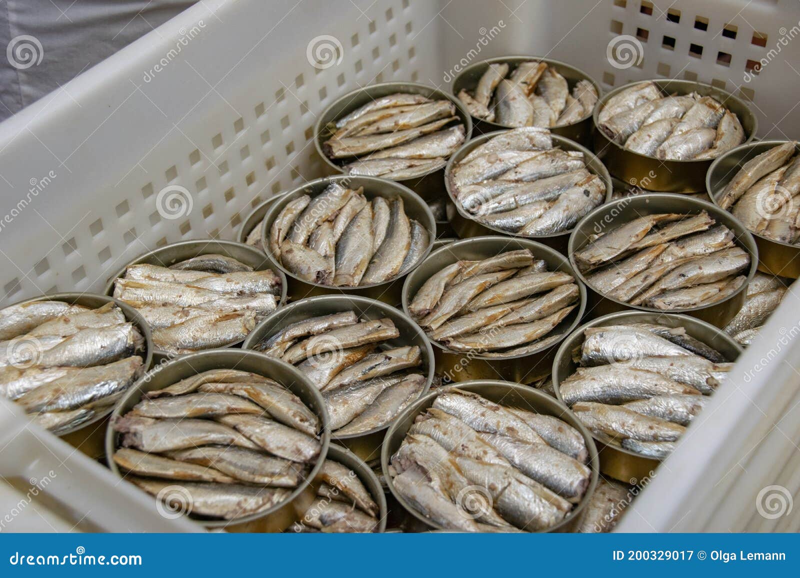 The Sprat Production at the Fish Factory Stock Image - Image of seafood ...