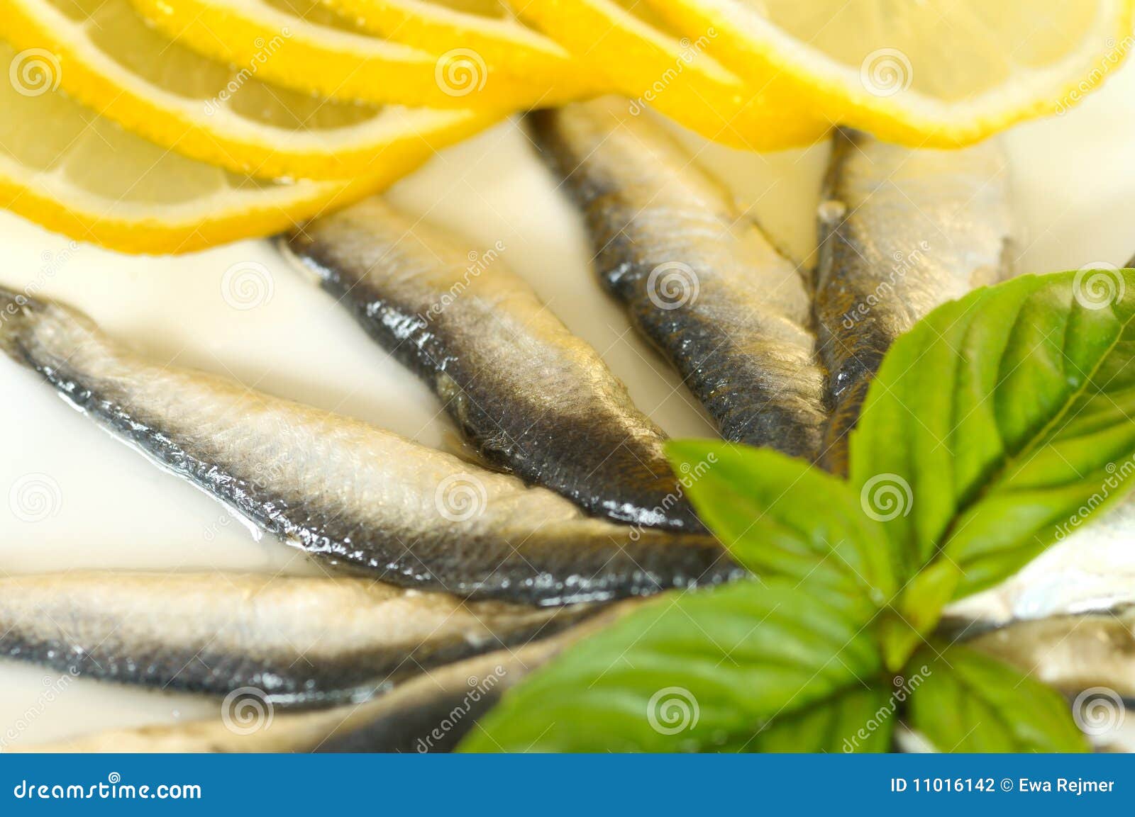 Sprat salad stock photo. Image of sardine, mackerel, shishamo - 11016142