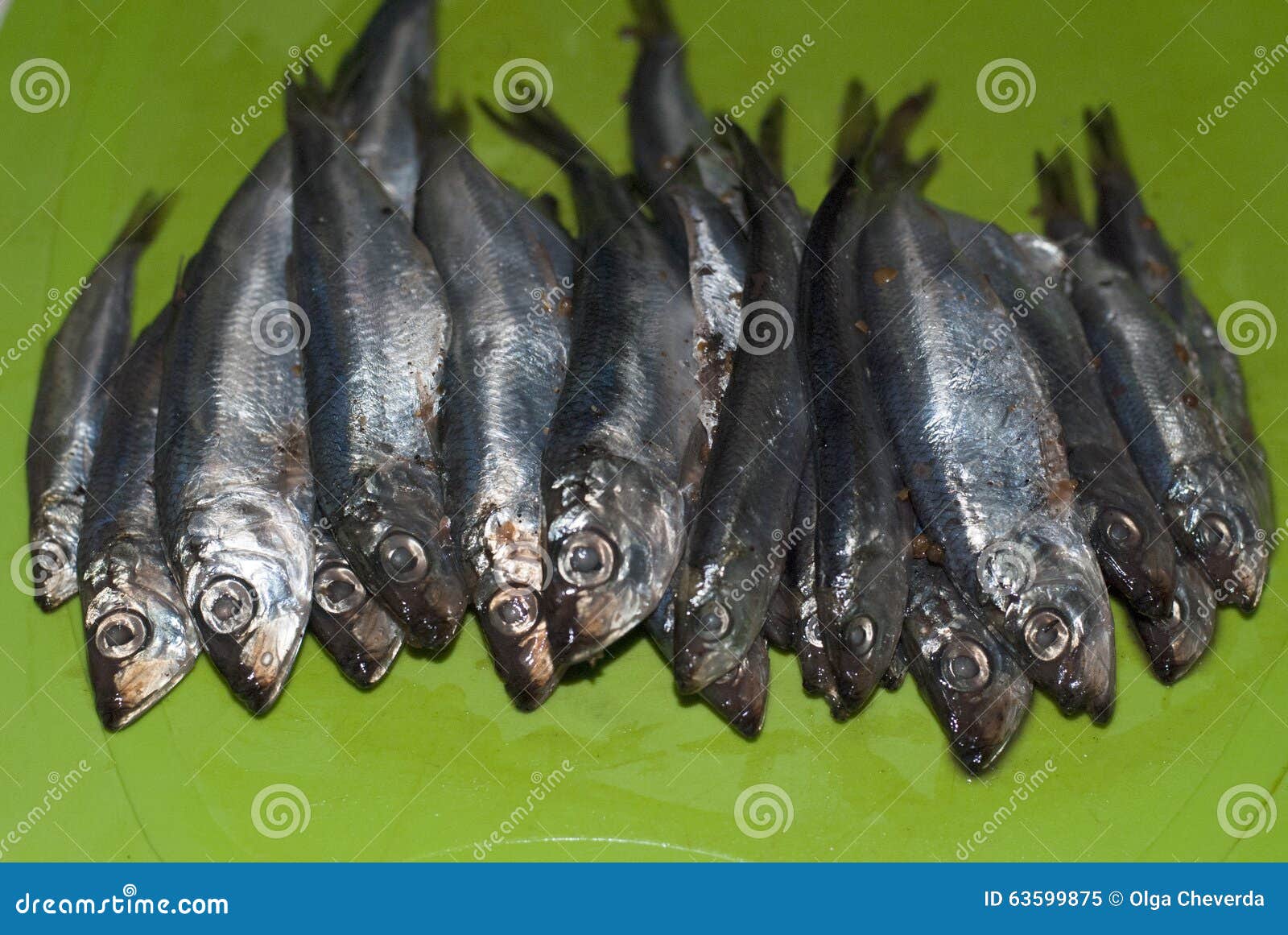 Sprat in spices stock image. Image of fishy, piscine - 63599875