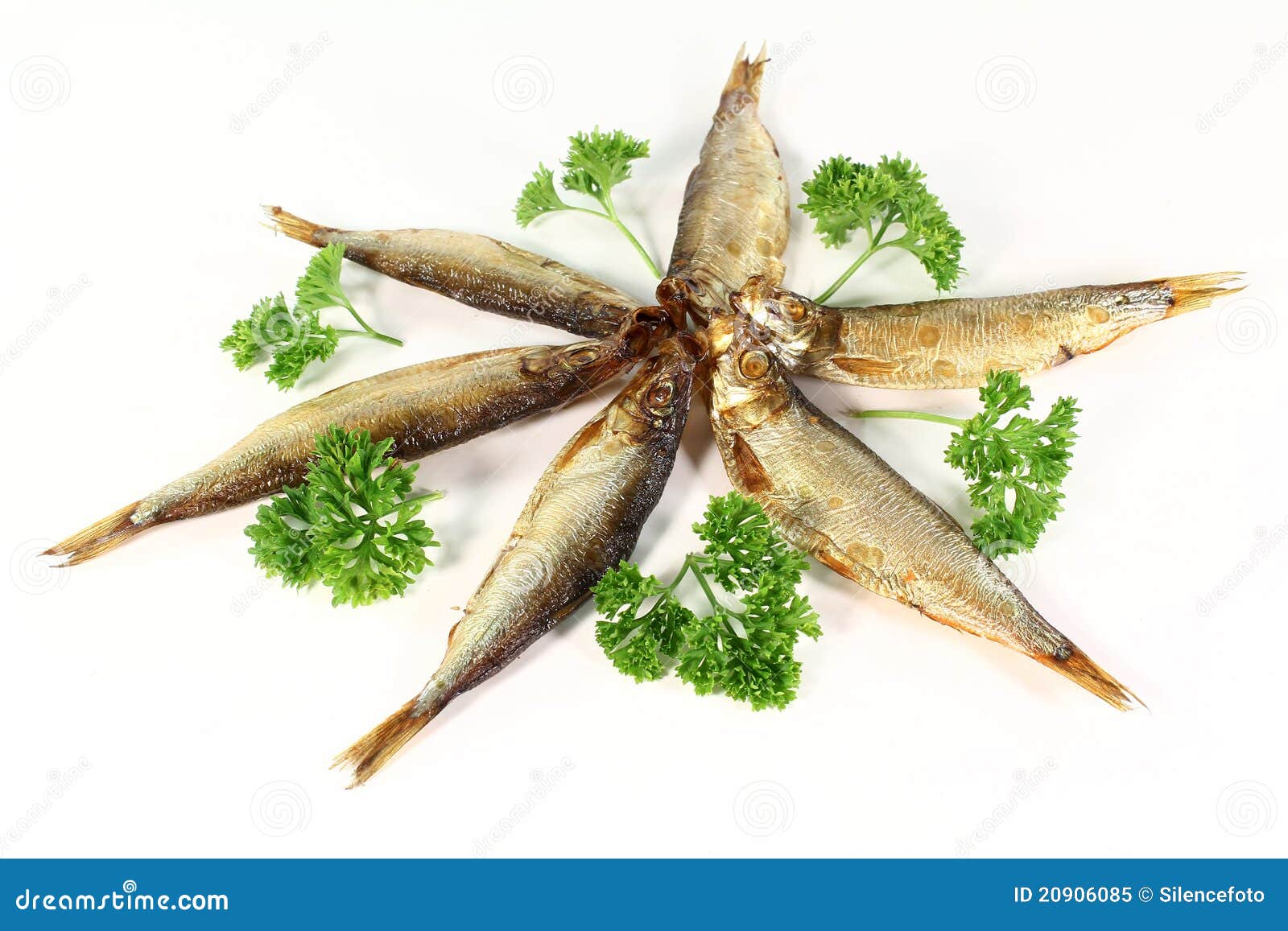 Sprats stock image. Image of market, fish, small, fresh - 20906085