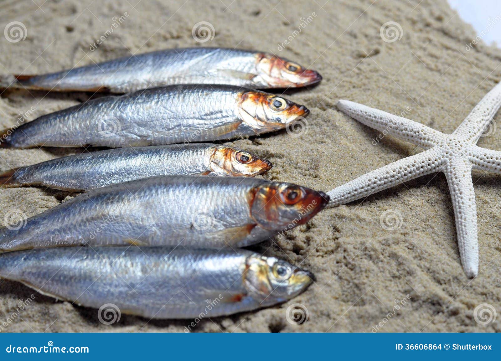 Sprats on Beach with Star Fish Stock Photo - Image of star, healthy ...