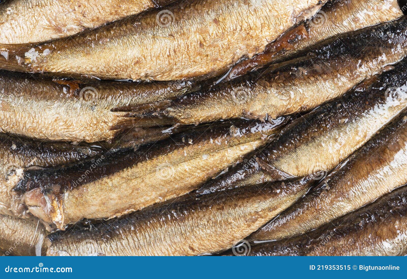 Sprats Fish Background Texture. Top View. Sprats in Oil Stock Image ...
