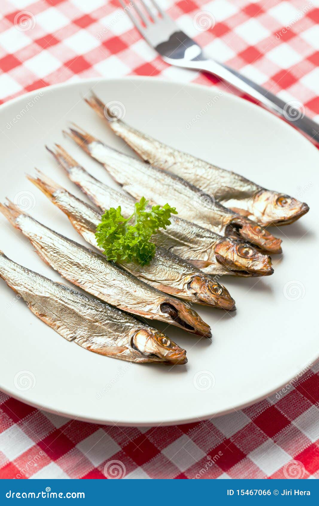 Sprats on plate stock photo. Image of delicacy, fish - 15467066