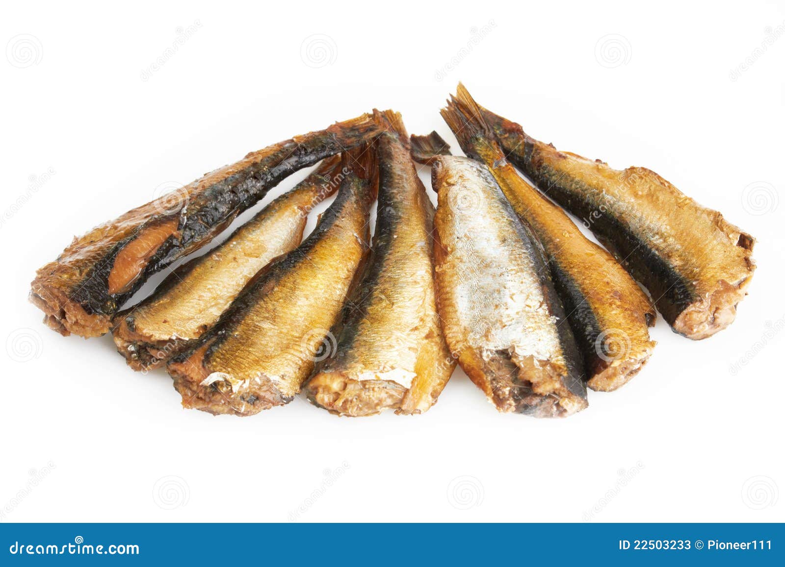 Spratti affumicati immagine stock. Immagine di bianco - 22503233