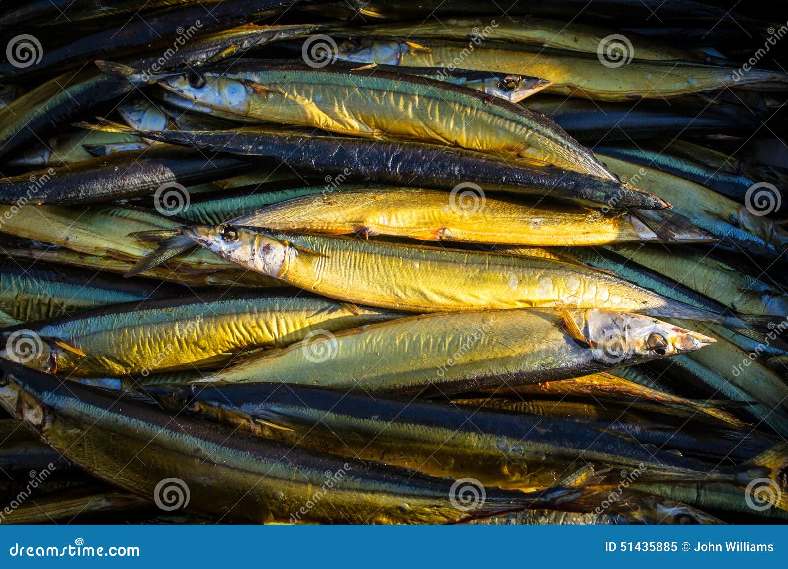 Spratti Affumicati Del Pesce Immagine Stock - Immagine di stalla ...