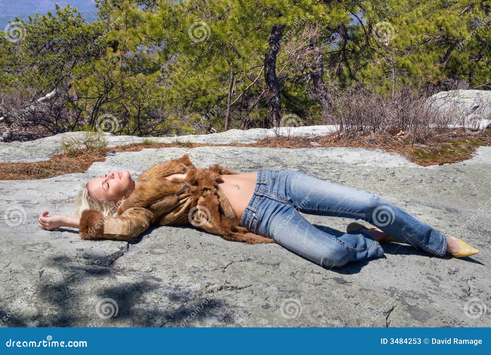 Sprawled out stock image. Image of blond, shut, resting - 3484253