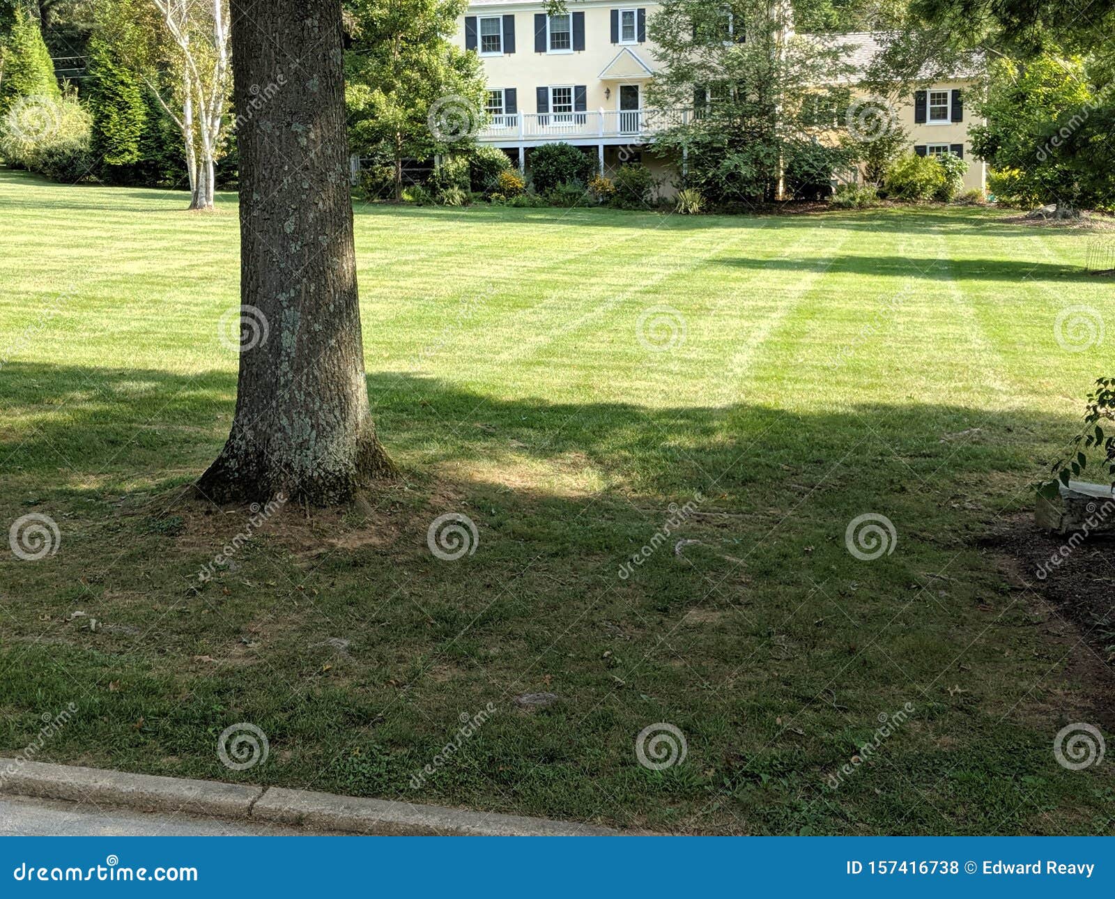 Sprawling Lawn and Trees stock photo. Image of sprawling - 157416738