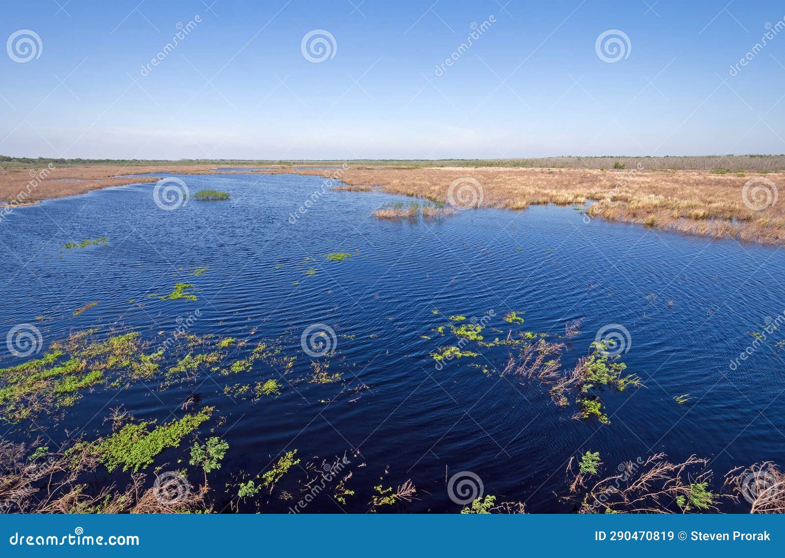 Sprawling Wetlands on the Texas Coast Stock Image - Image of swamp ...