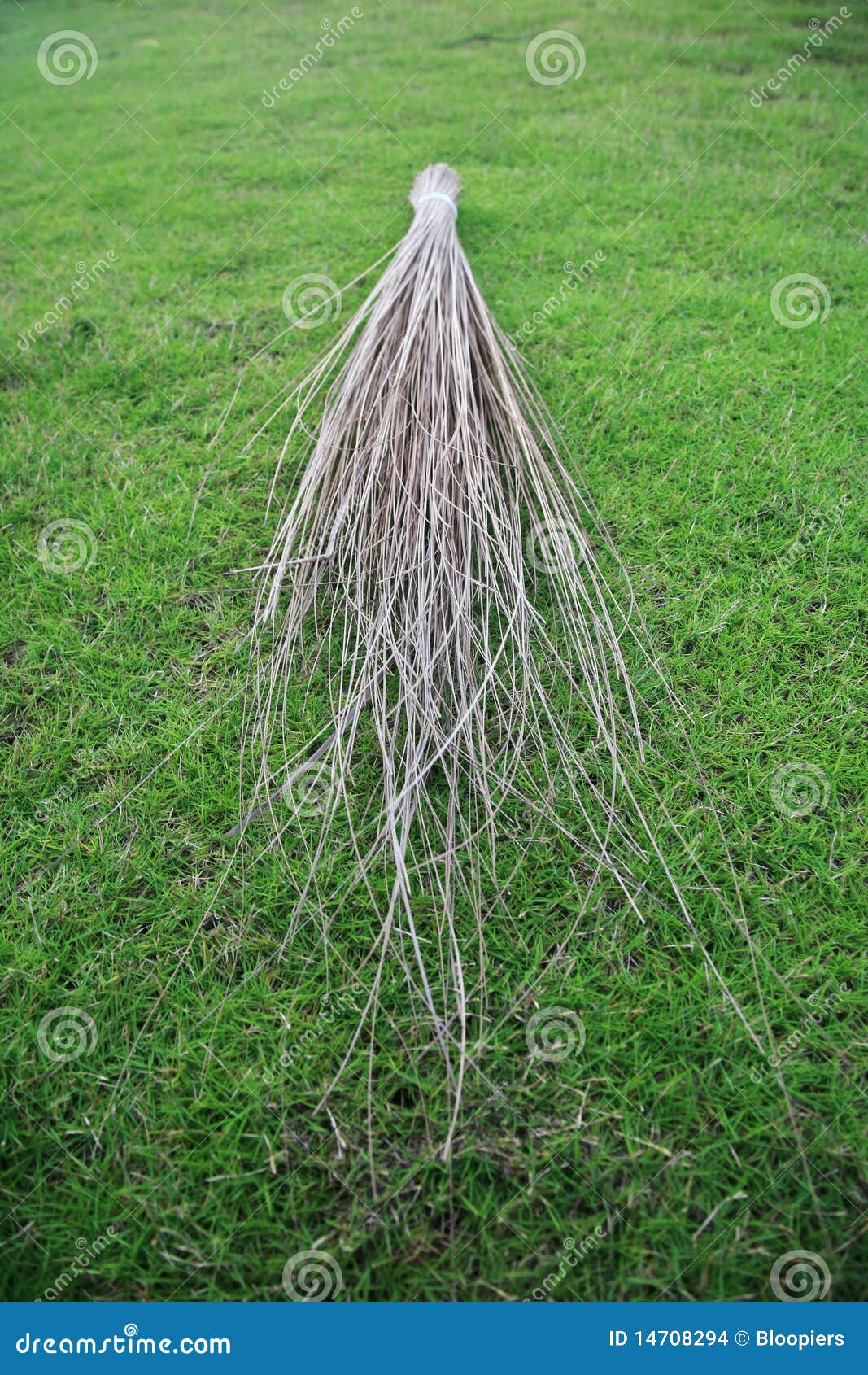 Spray stock photo. Image of organic, brush, broom, domestic - 14708294