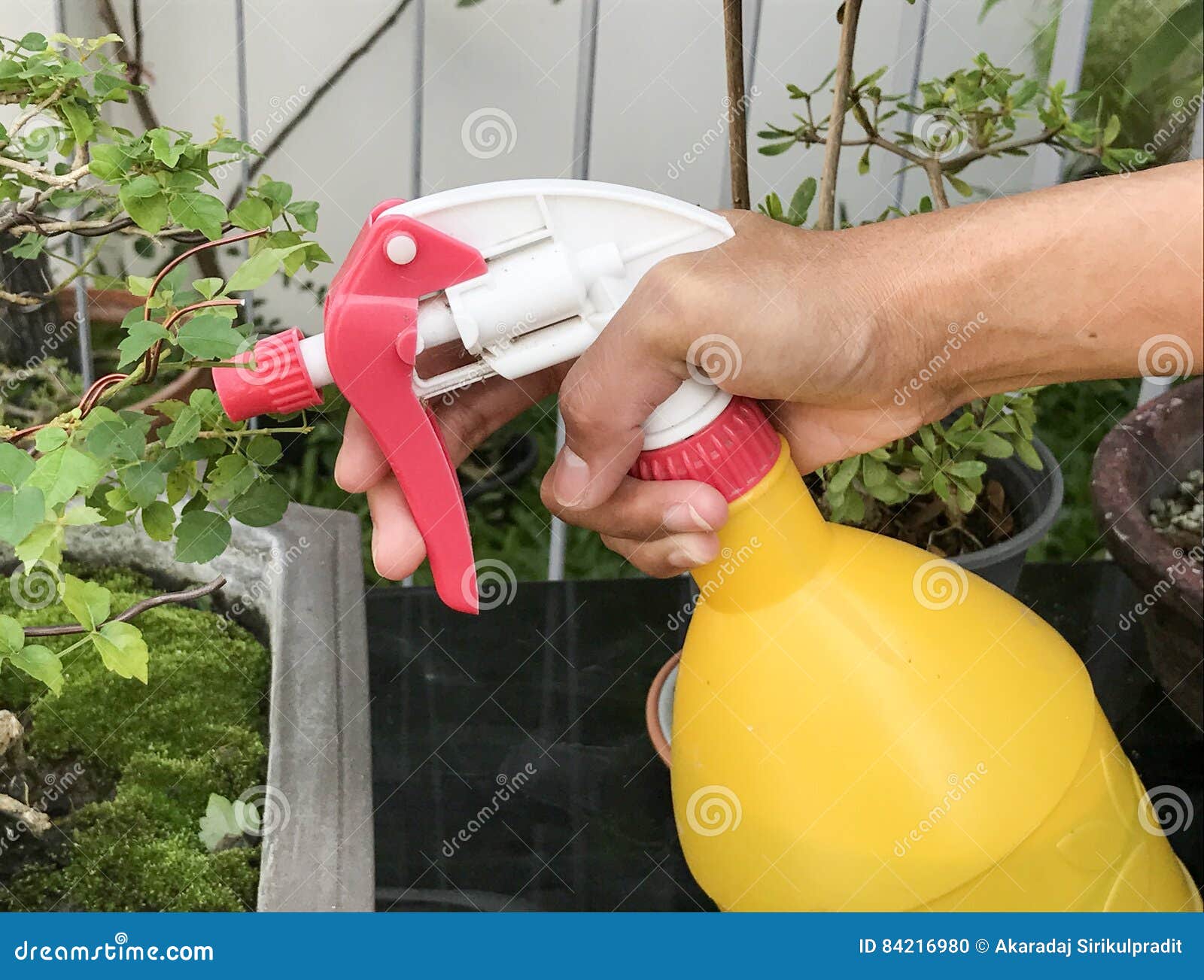 Spray Bottle the Mist of a Spray Bottle Stock Photo - Image of white ...